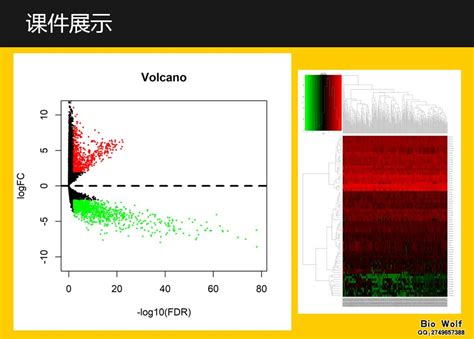 ceRNA调控网络构建生物信息学视频教程 TCGA数据 生信自学网