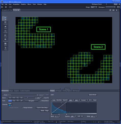 Opening Multiscene Czi Files With Fiji Image Analysis Imagesc Forum