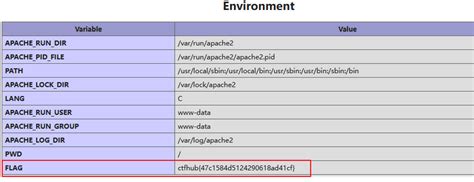 Ctfhub Web 信息泄露 Phpinfoctfhubphpinfo Csdn博客 Ctfhub Web 信息泄露 Phpinfoctfhubphpinfo Csdn博客
