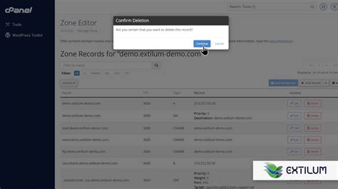 Set Mx Records To Remote Server Cpanel Extilum Knowledgebase