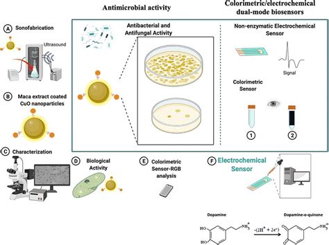 Progress In The Design Of Portable Colorimetric Chemical Sensing Devices Nanoscale Rsc