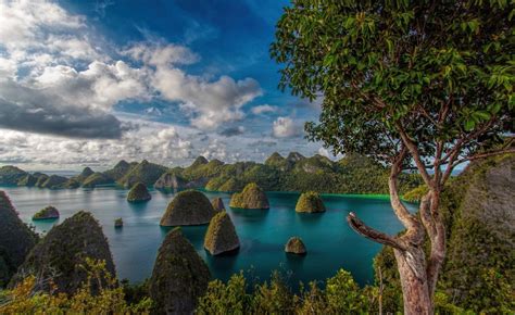 Indonesia Rock Earth Raja Ampat Turquoise Tree Ocean 1080p