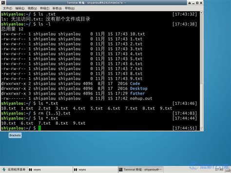 linux 目录结构及文件基本操作 蓝桥云课