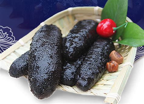 茄参与海参的区别图片 海茄子是什么东西 海参和茄参的区别图片 大山谷图库