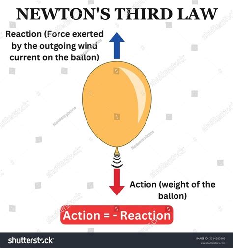 Newtons First Law Scientific Physics Graphical Illustration