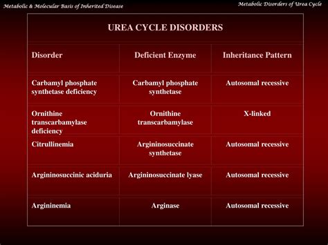 Ppt Urea Cycle Powerpoint Presentation Free Download Id9648230