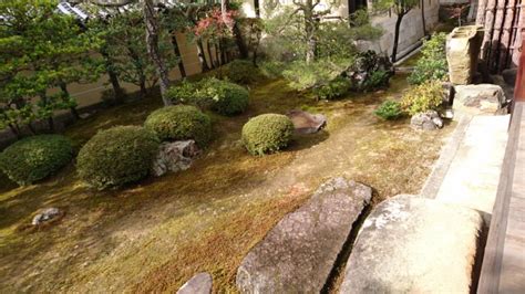 妙心寺 東海庵 気紛れ御朱印 独り言