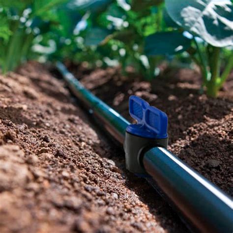 Guide To Dripline Irrigation Systems Fruit Hill Farm Blog