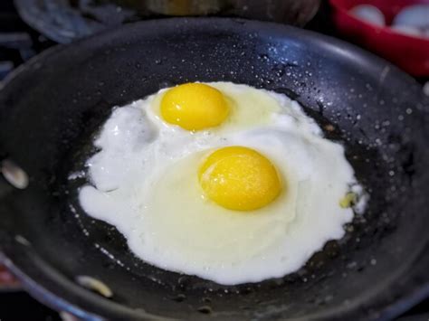 Premium Photo Close Up Of Egg In Plate
