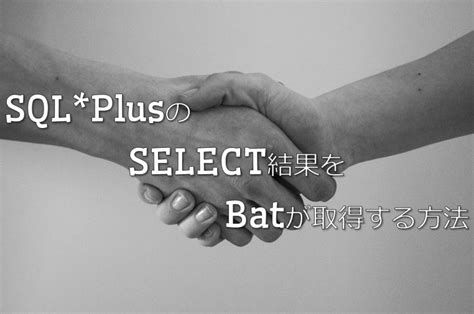 Windows Sqlplusのselect結果をbatが取得する方法 Gabekore Garage