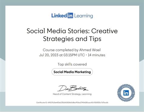 Ahmed Wael On Linkedin Cibsummerinternship2023 Linkedinlearning