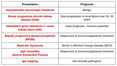 Iga Nephropathy Bcnephro
