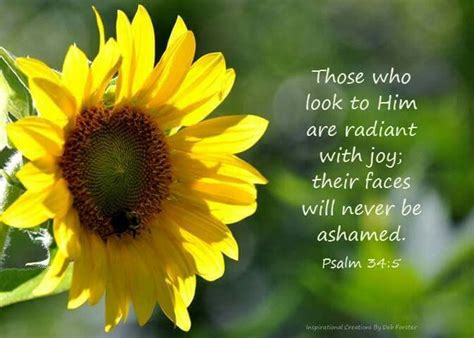 Psalm 345 Biblical Inspiration And Faith