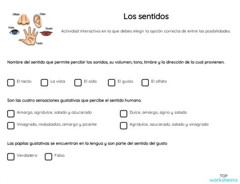 Los Sentidos Ficha Interactiva Topworksheets