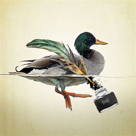 Sex Ducks And The Founding Feud Pocket Casts