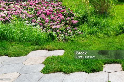 꽃과 녹색 잔디밭과 화강암 타일 보도 여름 햇볕이 잘 드는 공원 아무도 없는 조경 디자인 0명에 대한 스톡 사진 및 기타 이미지 Istock