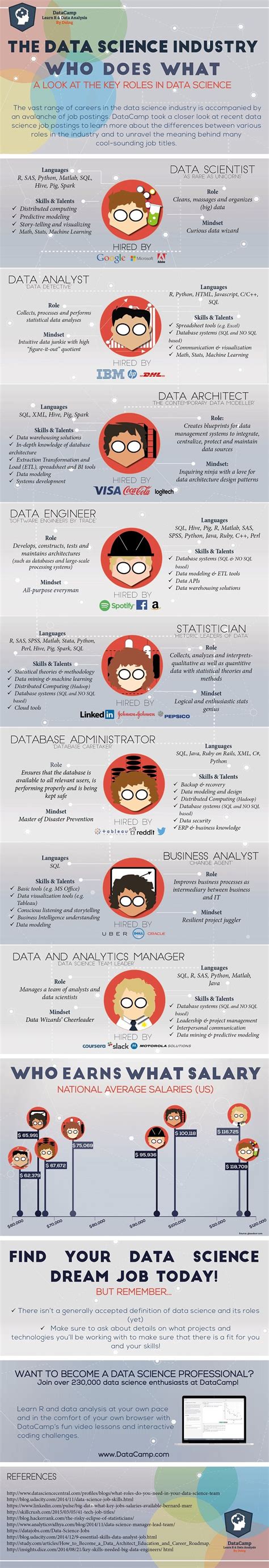 Career Management Who Does What In The Data Science Industry [infographic]