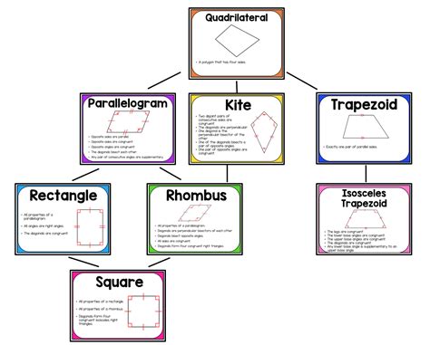 Hierarchy Of A Quadrilateral Assignment