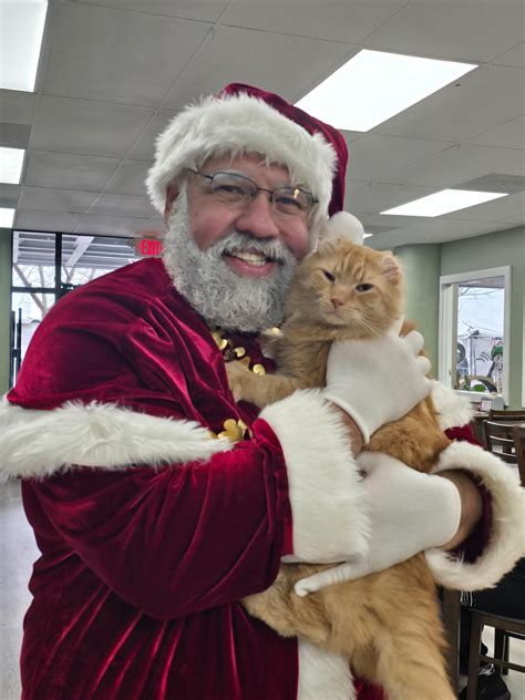 Itty Bitty Kitty Committee Itty Bitty Kitty Committee