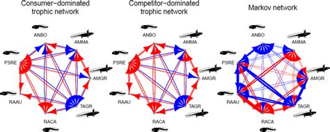Two Known Interaction Networks Constructed From Empirical Data On