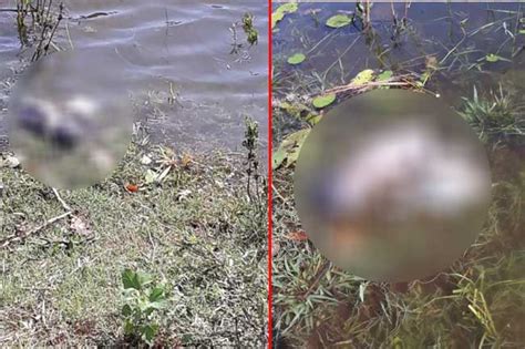 මුලතිව්වලත් වැවක අලුත උපන් බිළිඳෙකුගේ මළ සිරුරක්