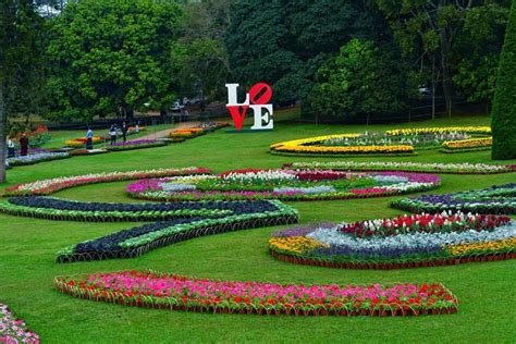 ပြင်ဦးလွင် ပန်းပွဲတော်တွင် နိုင်ငံလေးနိုင်ငံကိုယ်စားပြု ပန်းပြကွက်များ ပါဝင်ပြသမည် Myanmar