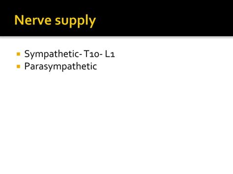 Anatomy Of Caecum And Appendix Pptx