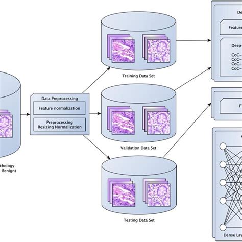Block Diagram Of The Proposed Colon Cancer Classification Model Download Scientific Diagram
