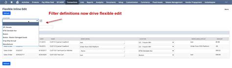 Netsuite Flexible Saved Search Inline Edit Filters