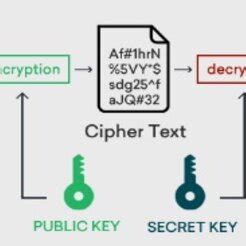 Asymmetric Process Encryption And Decryption Using Different Keys Download Scientific Diagram