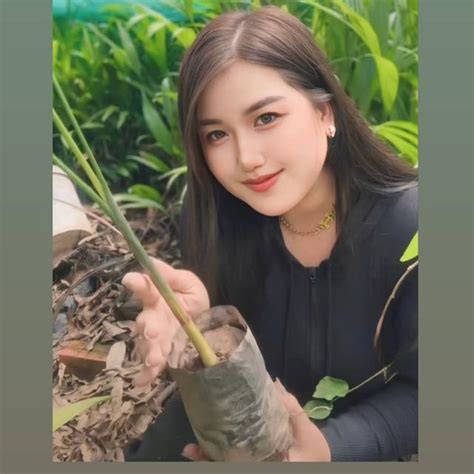 កសិដ្ឋាន ពិភព កូនឈើចម្រុះ កសិដ្ឋាន ពិភព កូនឈើចម្រុះ