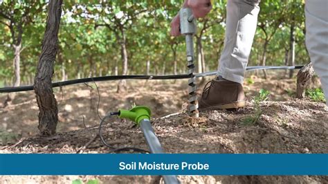 Sense It Technologies On Linkedin Lorawan Iot Lorawan Datacenter Wireless