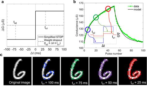 A Simplified Stdp Rule Solid Black Line Versus Stdp Based Weight Download Scientific