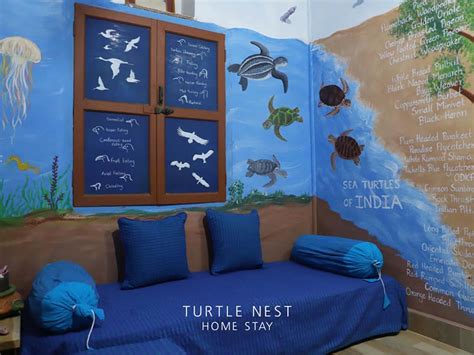 Velas Turtle Festival 2025 Experience Turtle Festival Velas Beach Konkans Home And Tradition