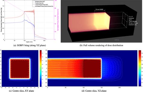 Photon Equivalent Biological Dose Physical Dose And Primary Particle Download Scientific