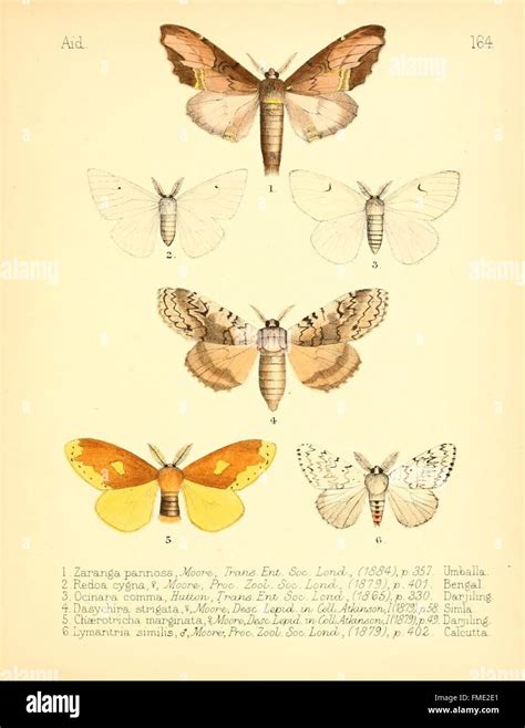 Aid To The Identification Of Insects Provides Detailed Illustrations