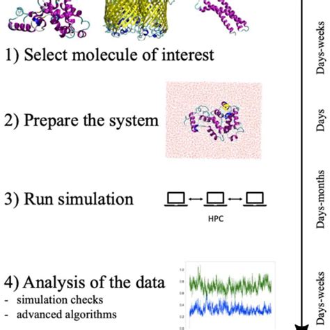 Schematic Representation Of The Typical Workflow Of A Molecular Download Scientific Diagram