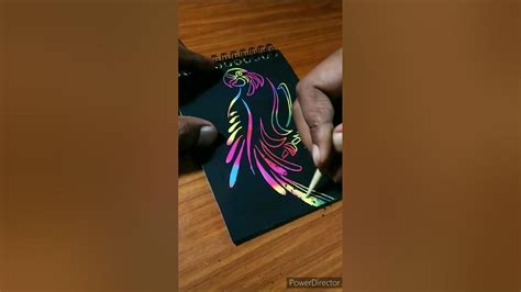 Parrot Scratch Drawing Parrot Magical Drawing Shorts Youtube