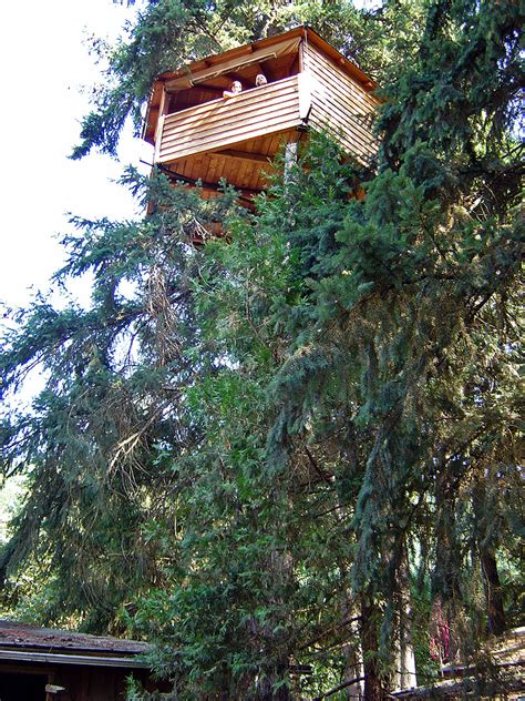 Oregon Treehouses Part Of Ashland Daily Photo