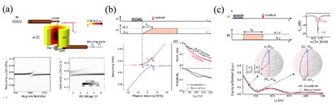 A Schematic Illustration Of The Device Containing A Yig Sphere Placed Download Scientific