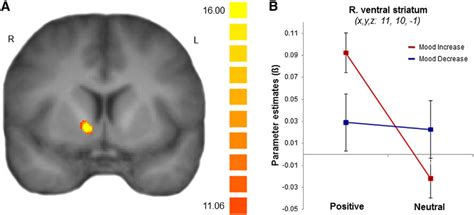 Ventral Striatum Activation During Memory Recall And Subsequent Mood Download Scientific