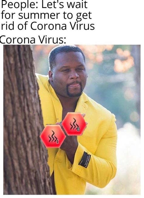 Corona Virus Has Evolved To Heat Resistance 2 Meme By Coolrvrx