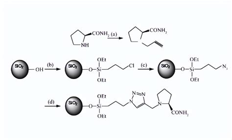 Ligand Stability Of Bidentate Doubles Application To Dinuclear Host