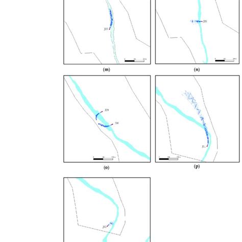 Particle Trace Pattern For The 100 D Period In Each Water Source Well Download Scientific