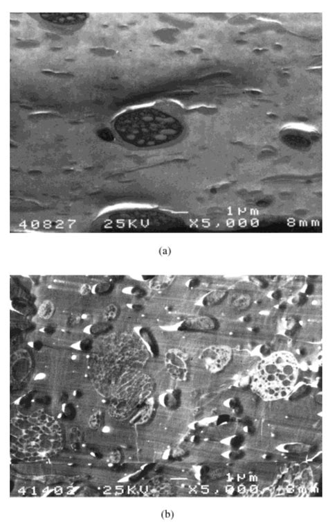 Stem Pictures Of The Phase Structure Of Hdpehips Blends