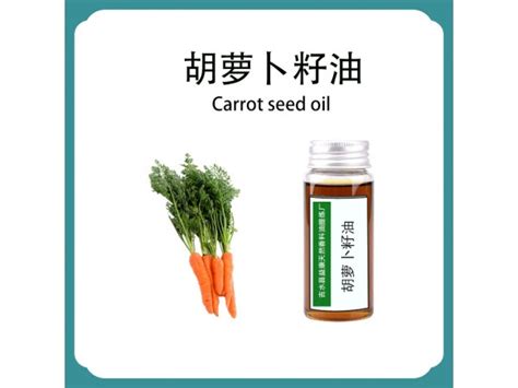 胡萝卜籽精油 1KG 东方医药网
