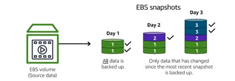 Aws Cloud Practitioner Module 5 Flashcards Quizlet