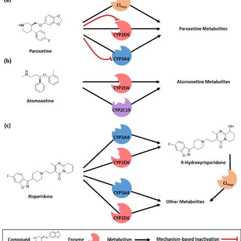 Implemented Metabolic Pathways For The Modeled Compounds A