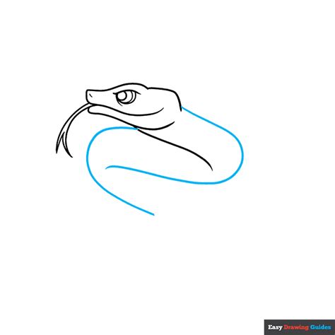 How To Draw A King Cobra Face