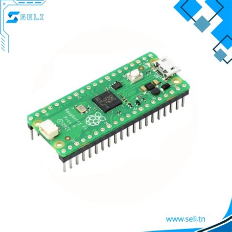 Raspberry Pi Pico Rp2040 Seli